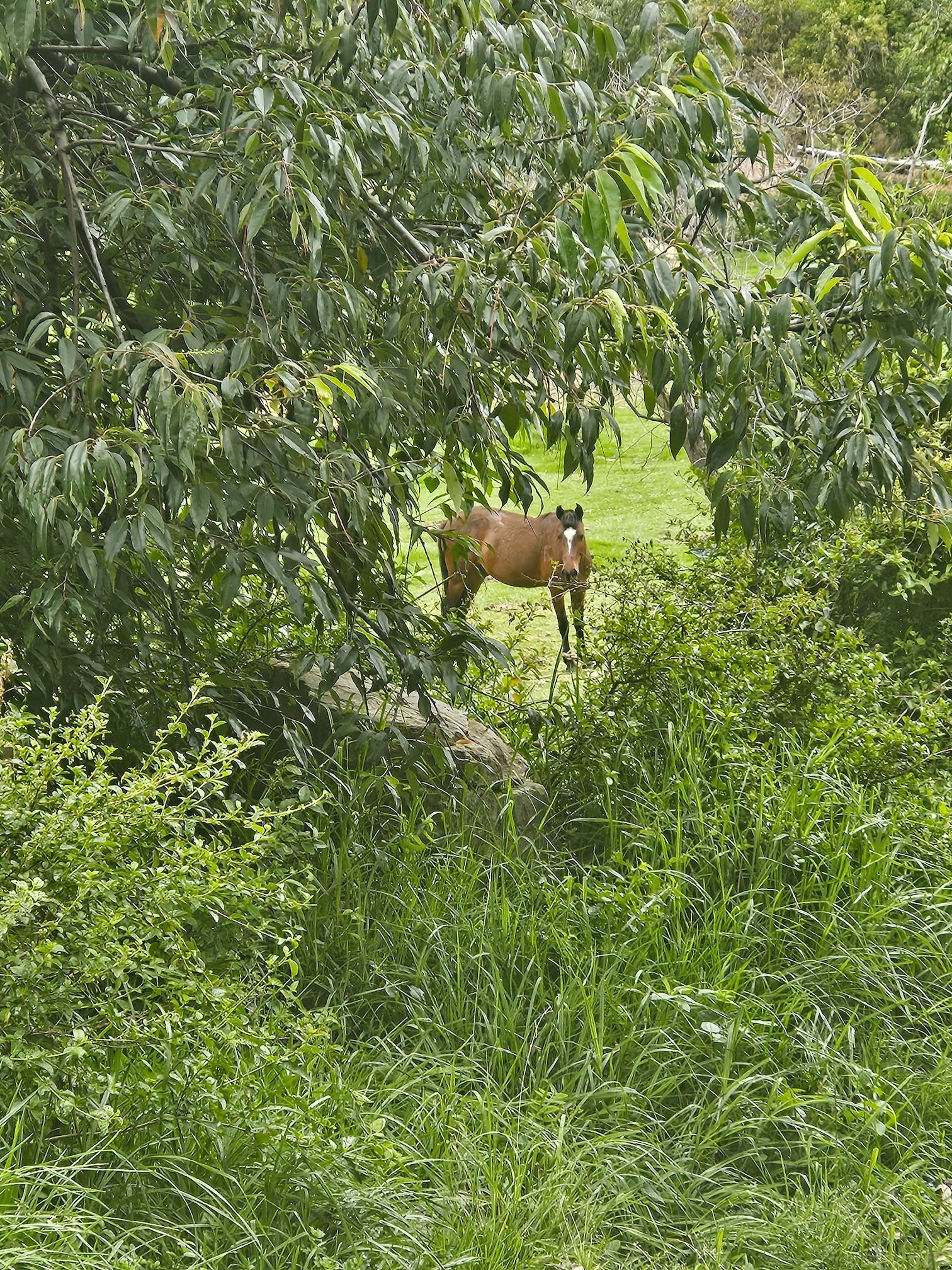 iroon.com: Photos: Peeking