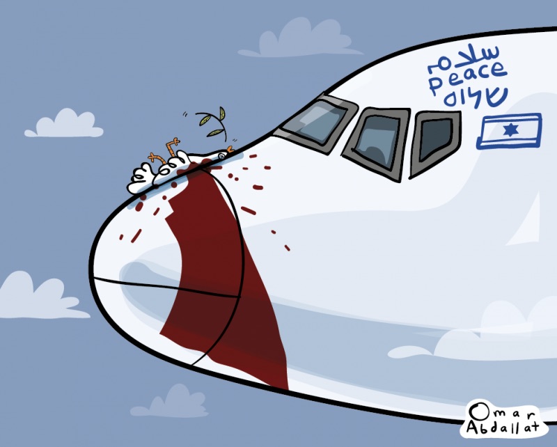 iroon.com: Cartoons: Peace plane